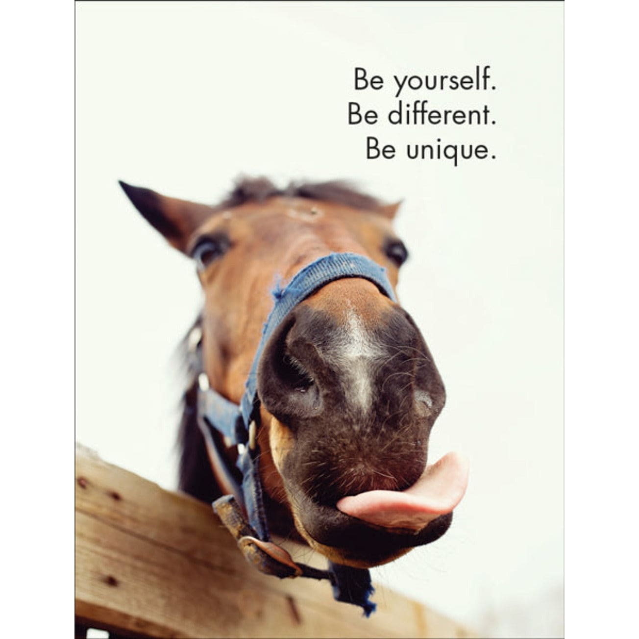 Horse Sense - 24 affirmation cards + stand | Sensory Circle