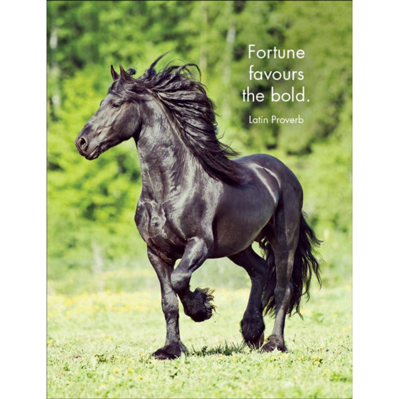 Horse Sense - 24 affirmation cards + stand | Sensory Circle