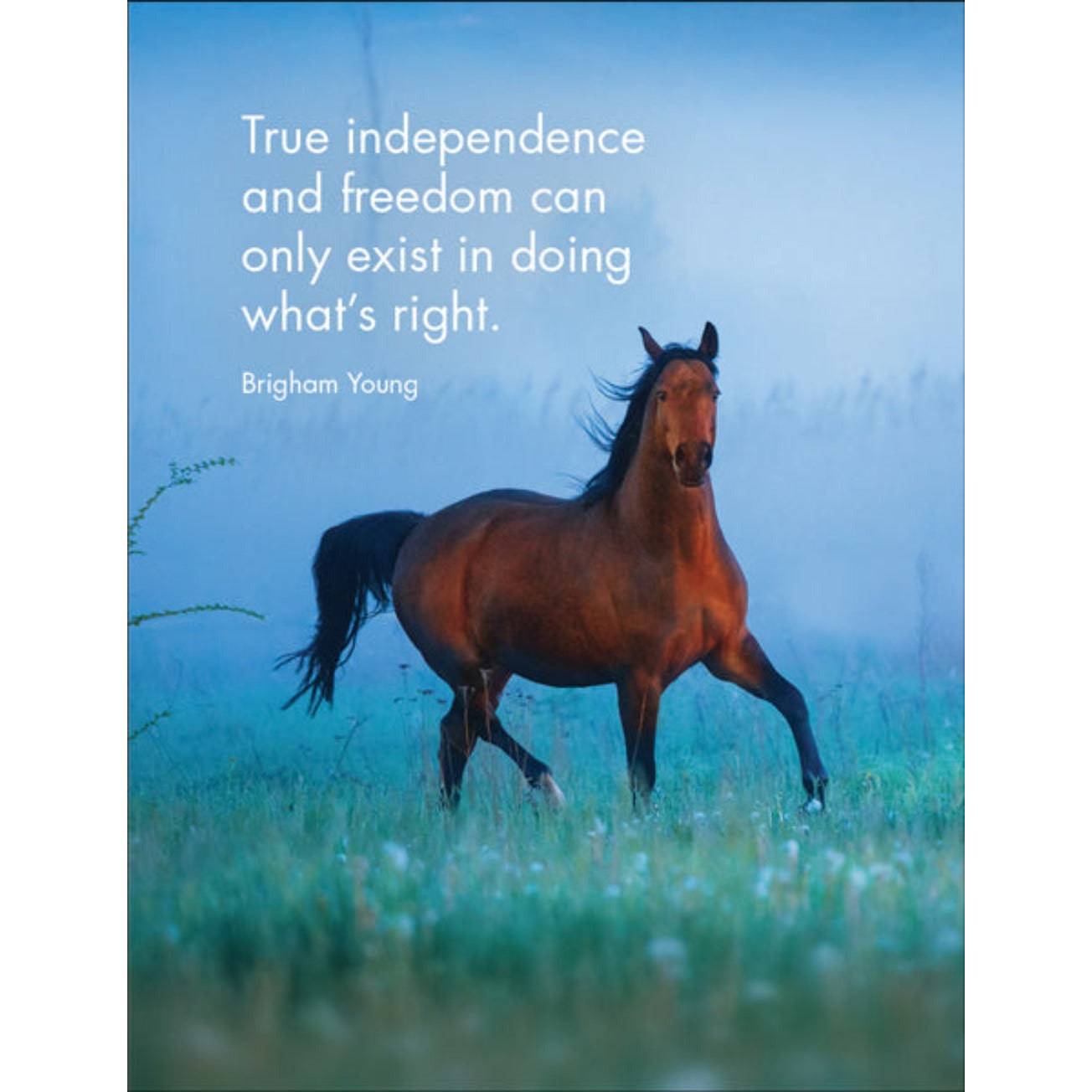 Horse Sense - 24 affirmation cards + stand | Sensory Circle